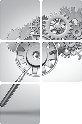 QDMS - MeaTech Global